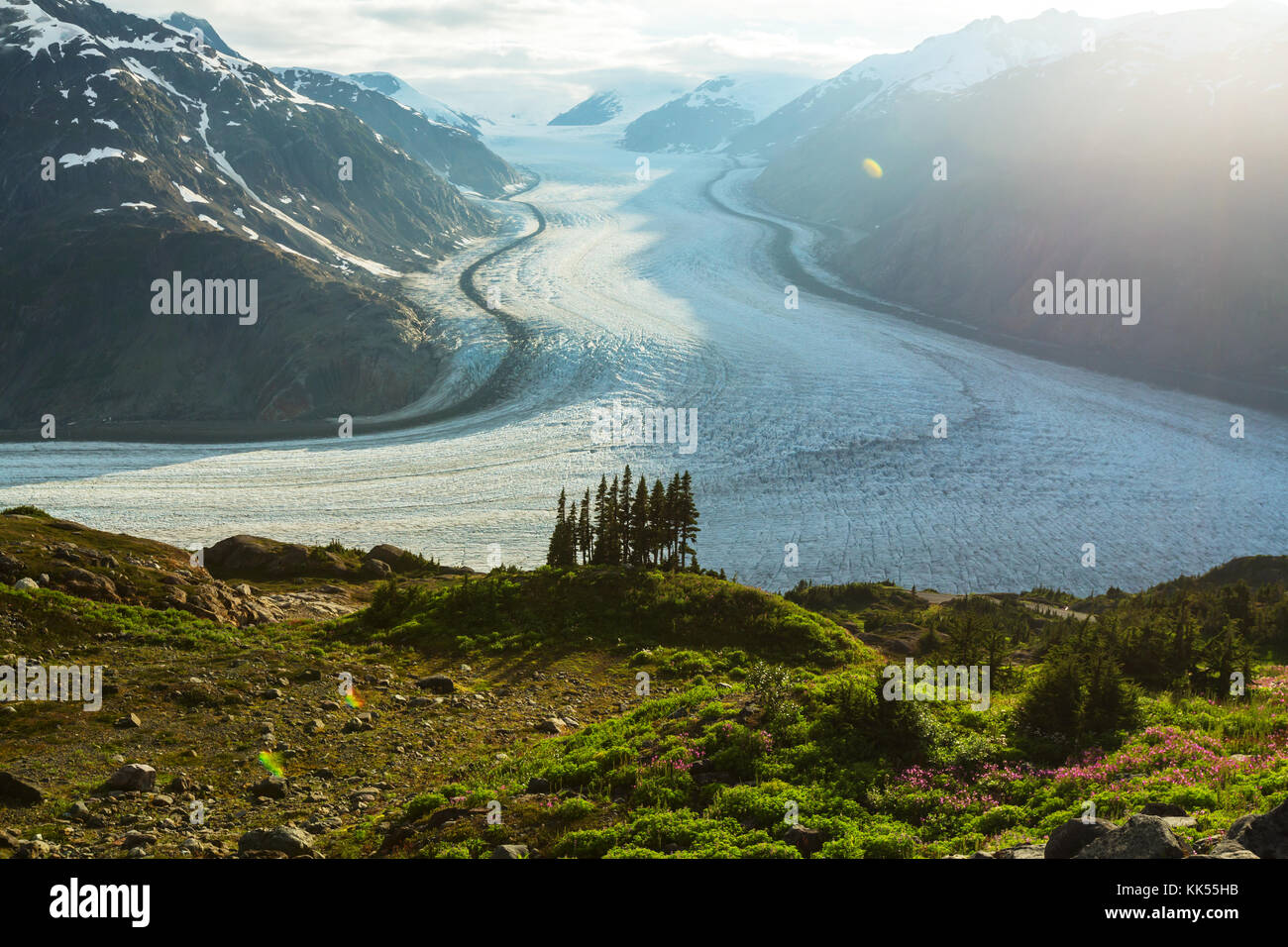 Salmon glacier in Stewart, Canada Stock Photo - Alamy