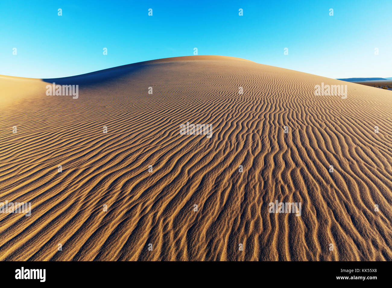 Beautiful sand dunes in desert at the sunrise.Death Valley,Neada,USA ...