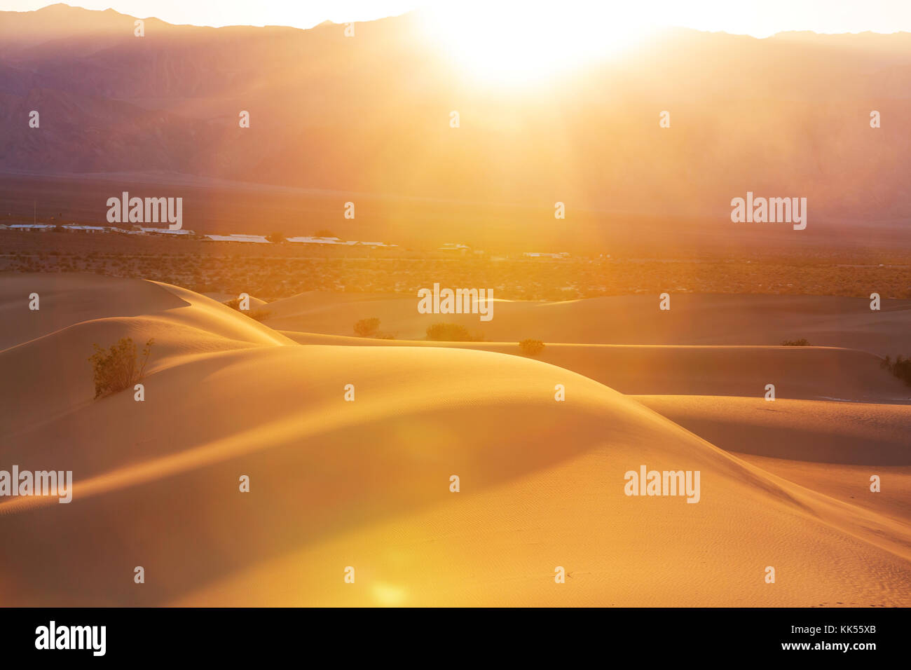 Beautiful sand dunes in desert at sunrise. Death Valley, Nevada, USA ...