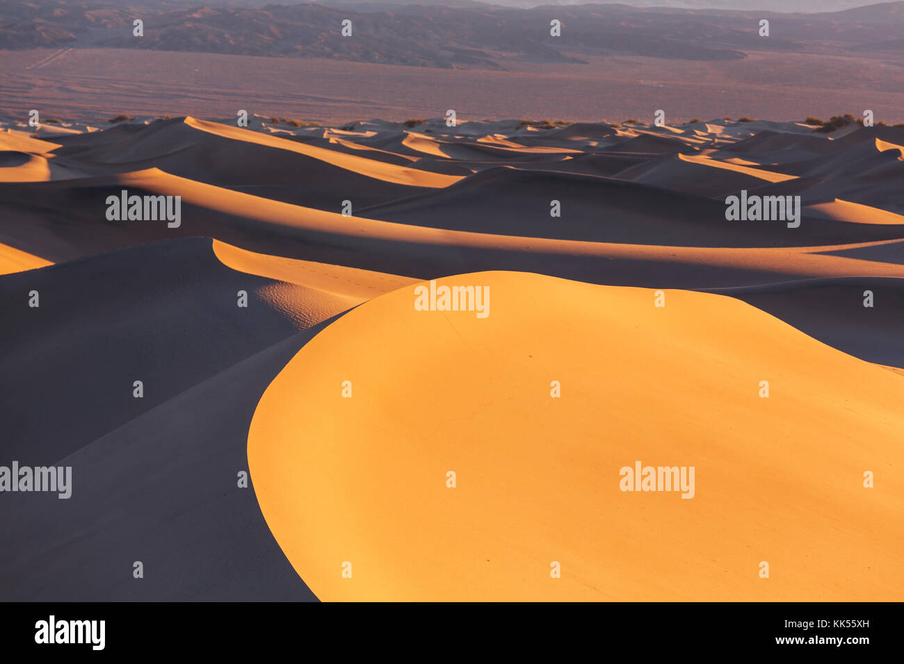 Beautiful sand dunes in desert at sunrise. Death Valley, Nevada, USA ...