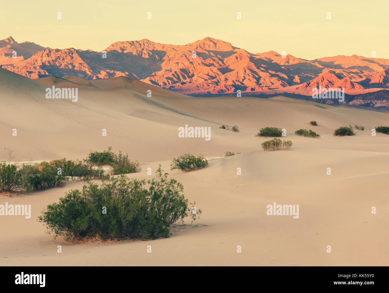 Beautiful sand dunes in desert at sunrise. Death Valley, Nevada, USA ...
