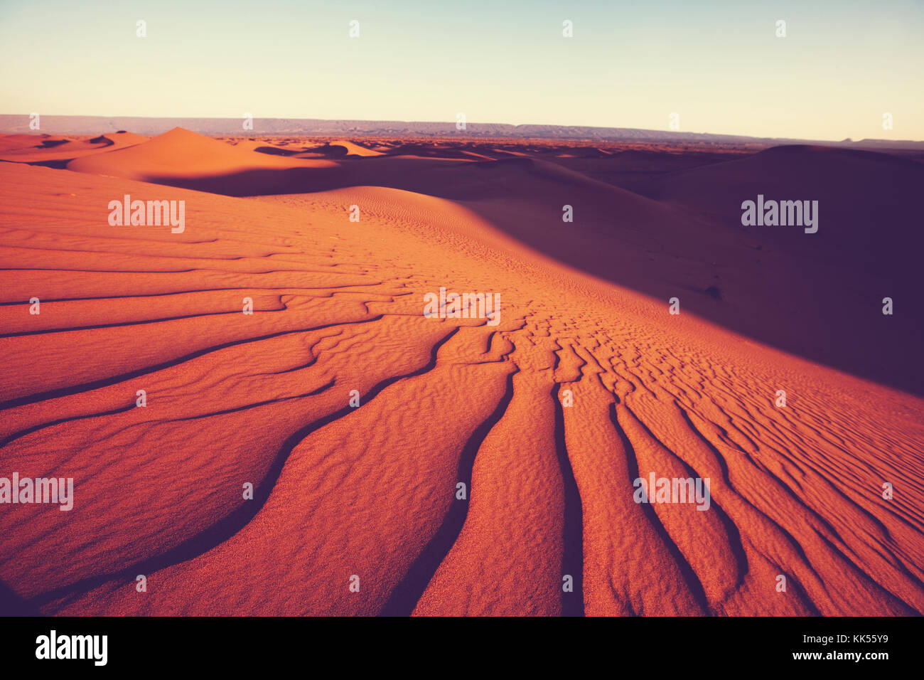 Beautiful sand dunes in desert at sunrise. Death Valley, Nevada, USA ...