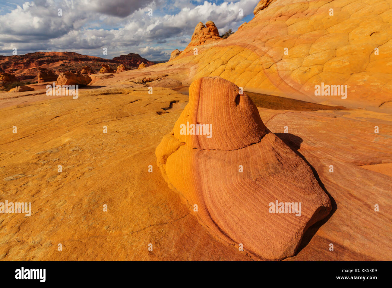 Coyote Buttes of the Vermillion Cliffs Wilderness Area, Utah and ...