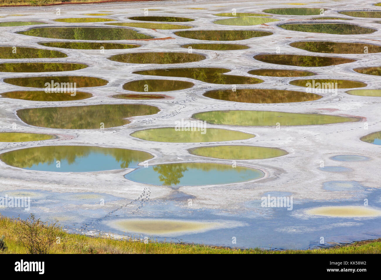Spotted lake hi-res stock photography and images - Alamy