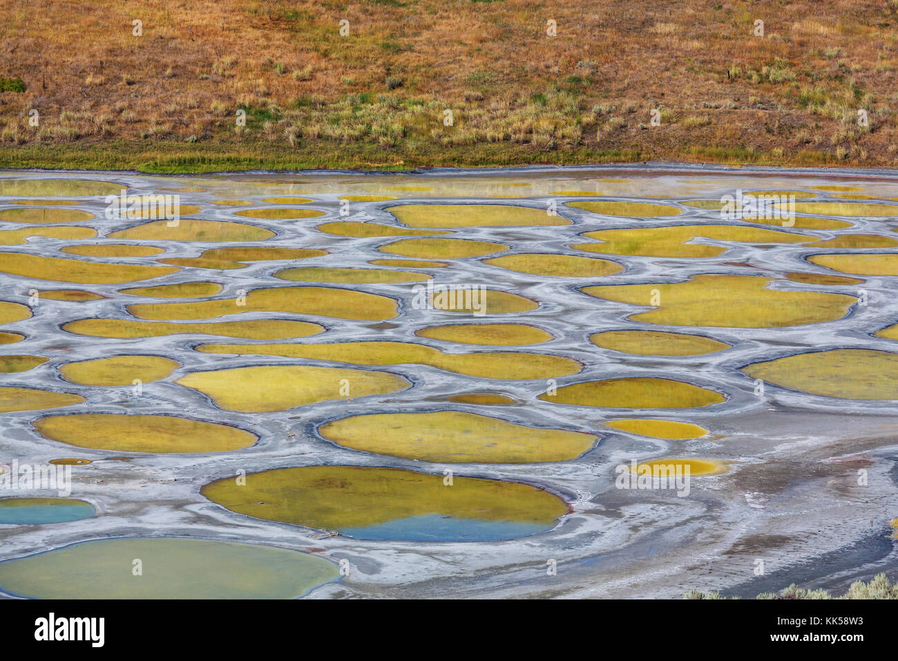 Spotted lake hi-res stock photography and images - Alamy