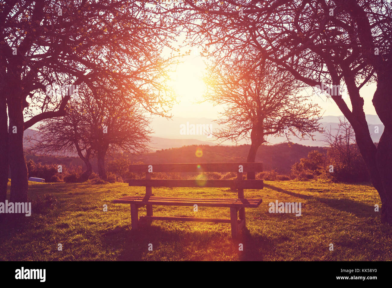 Serenity spring garden at sunrise Stock Photo - Alamy