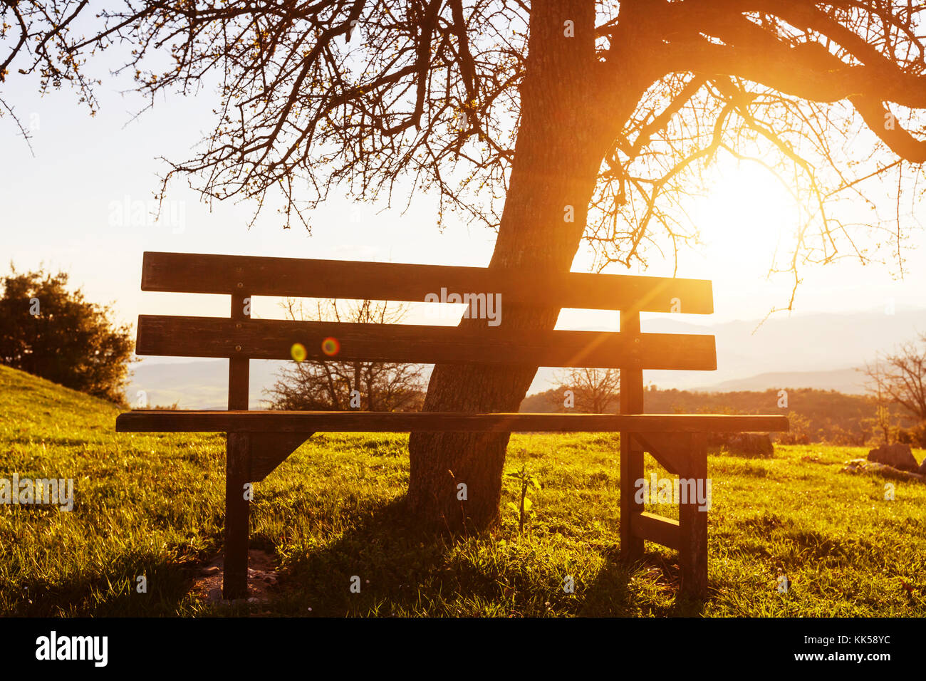 Serenity spring garden at sunrise Stock Photo - Alamy