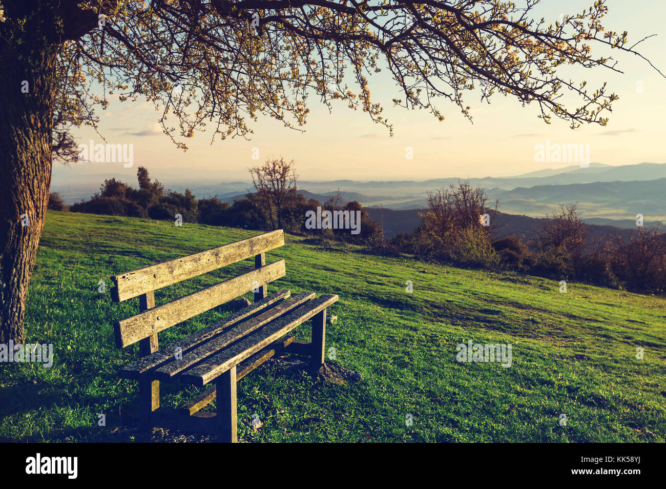 Serenity spring garden at sunrise Stock Photo - Alamy