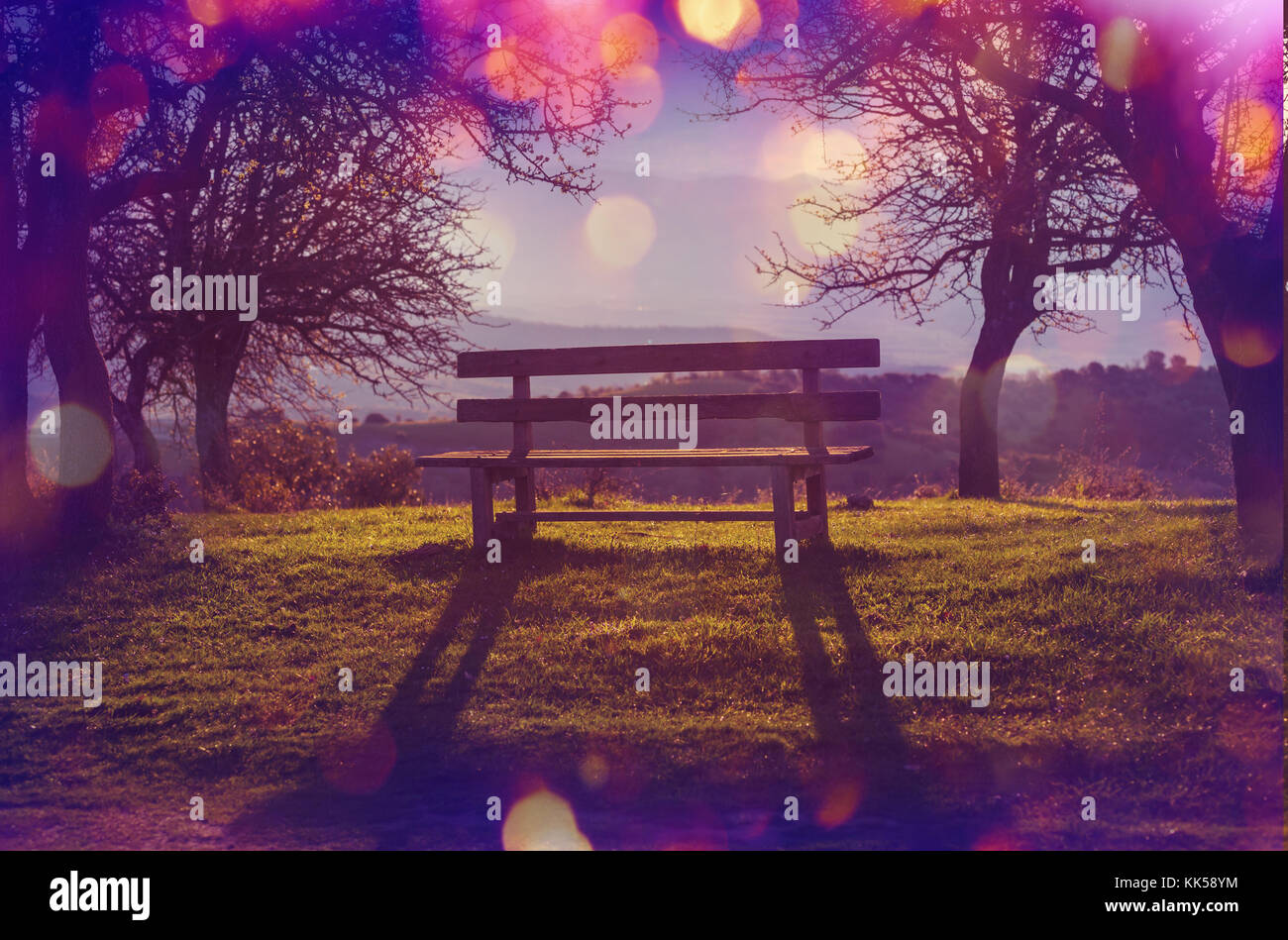 Serenity spring garden at sunrise Stock Photo - Alamy