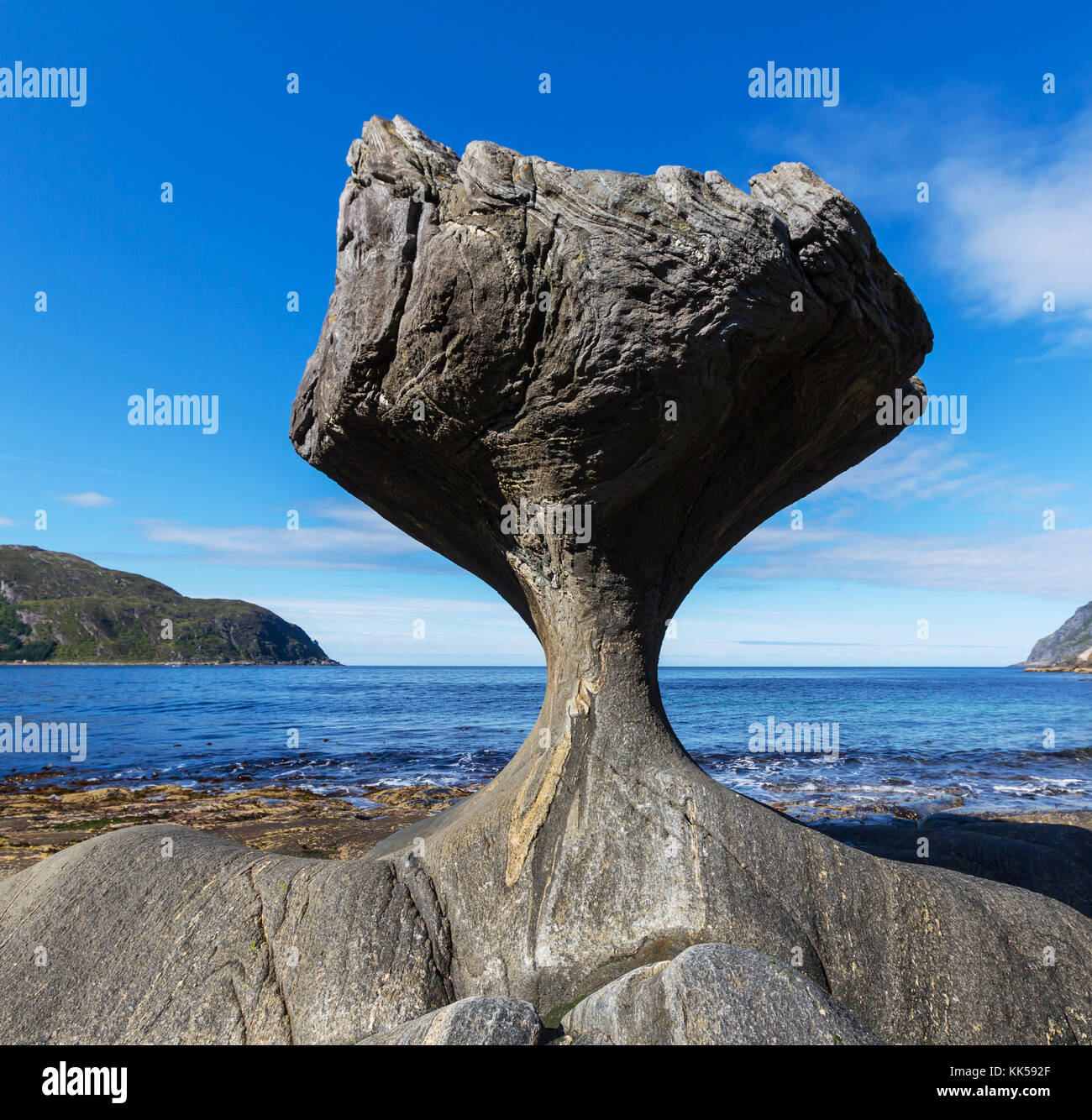 Stone tail in Norway Stock Photo - Alamy