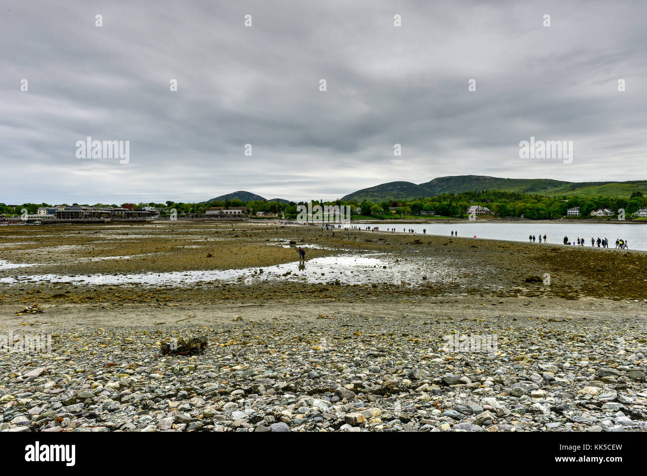 Bar island maine hi-res stock photography and images - Alamy