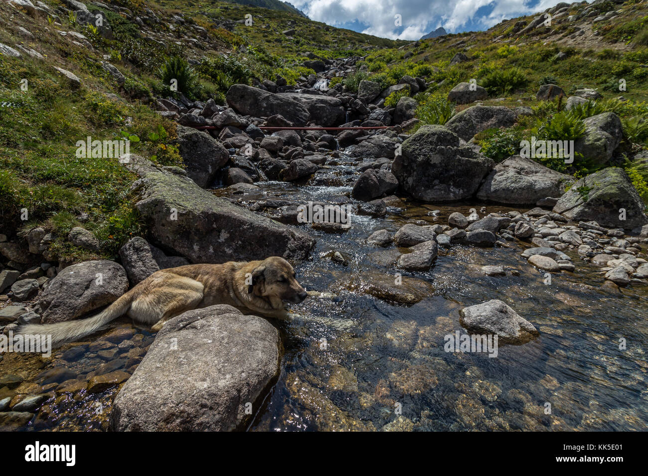 Landscape view of Kackar Mountains or simply Kackars, in Turkish Kackar ...
