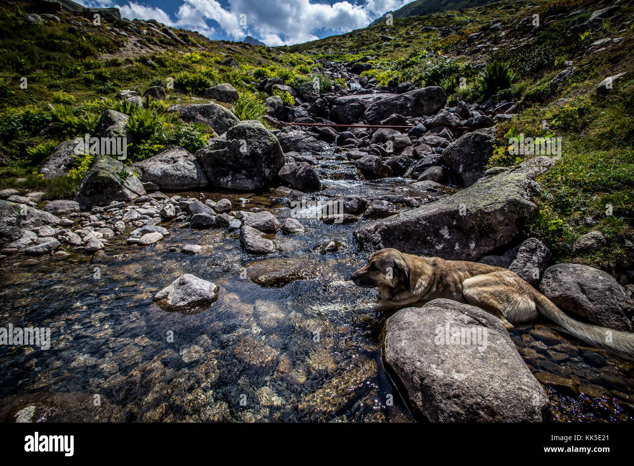 Kackar daglari hi-res stock photography and images - Alamy
