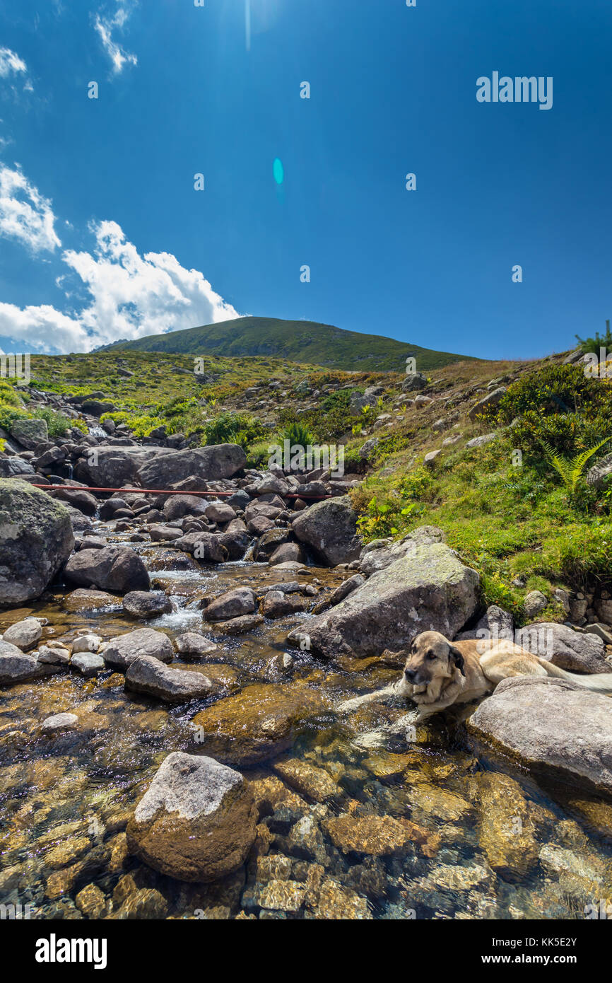 Landscape view of Kackar Mountains or simply Kackars, in Turkish Kackar ...