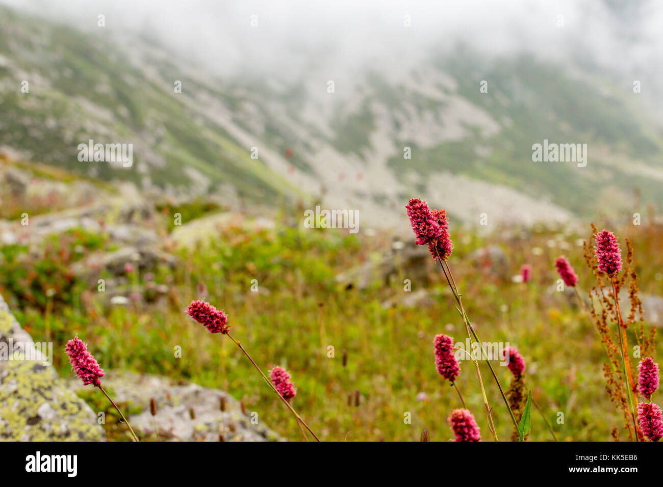 Landscape view of Kackar Mountains or simply Kackars, in Turkish Kackar ...