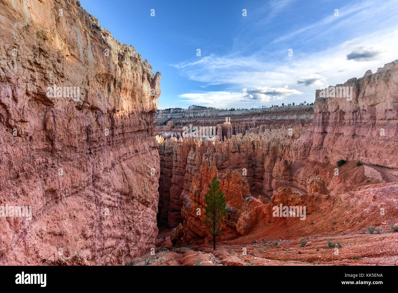 The Amphitheater in Bryce Canyon National Park in Utah, United States ...