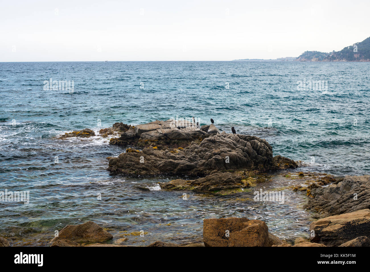Beautiful seascape with rocks Stock Photo - Alamy