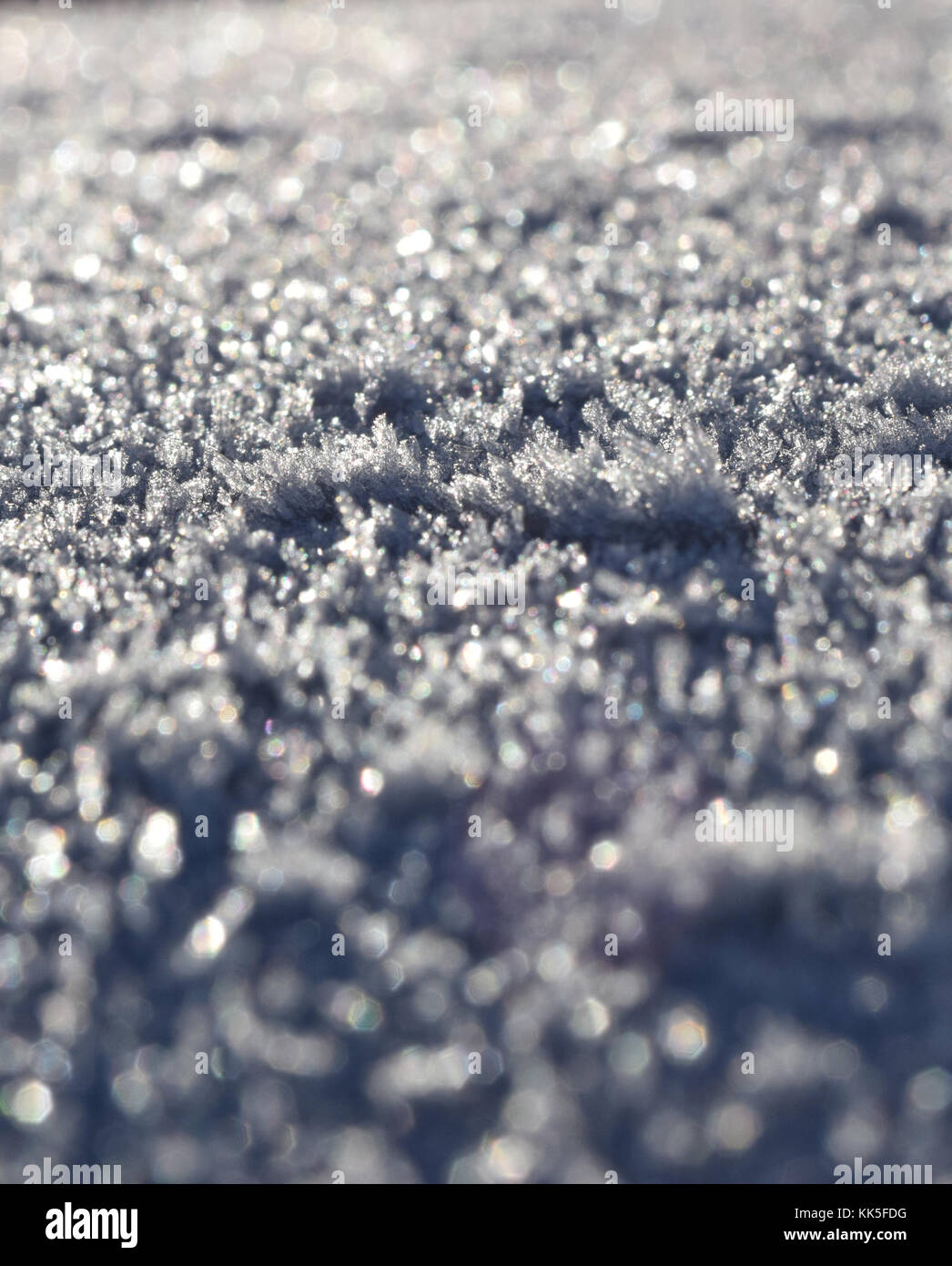 close up of frost Stock Photo - Alamy