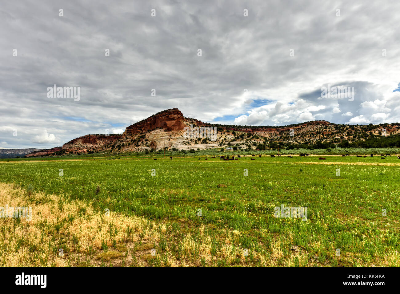 Rock formations along the Johnson Canyon Road in Utah, USA Stock Photo ...