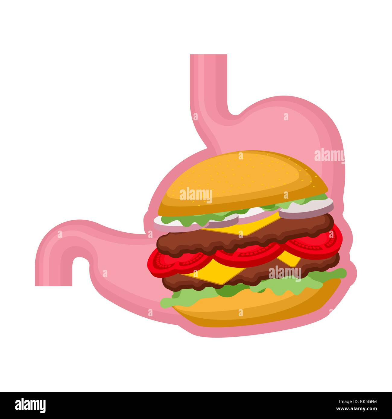 Burger in Stomach. Belly and hamburger. heaviness in abdomen. Internal ...