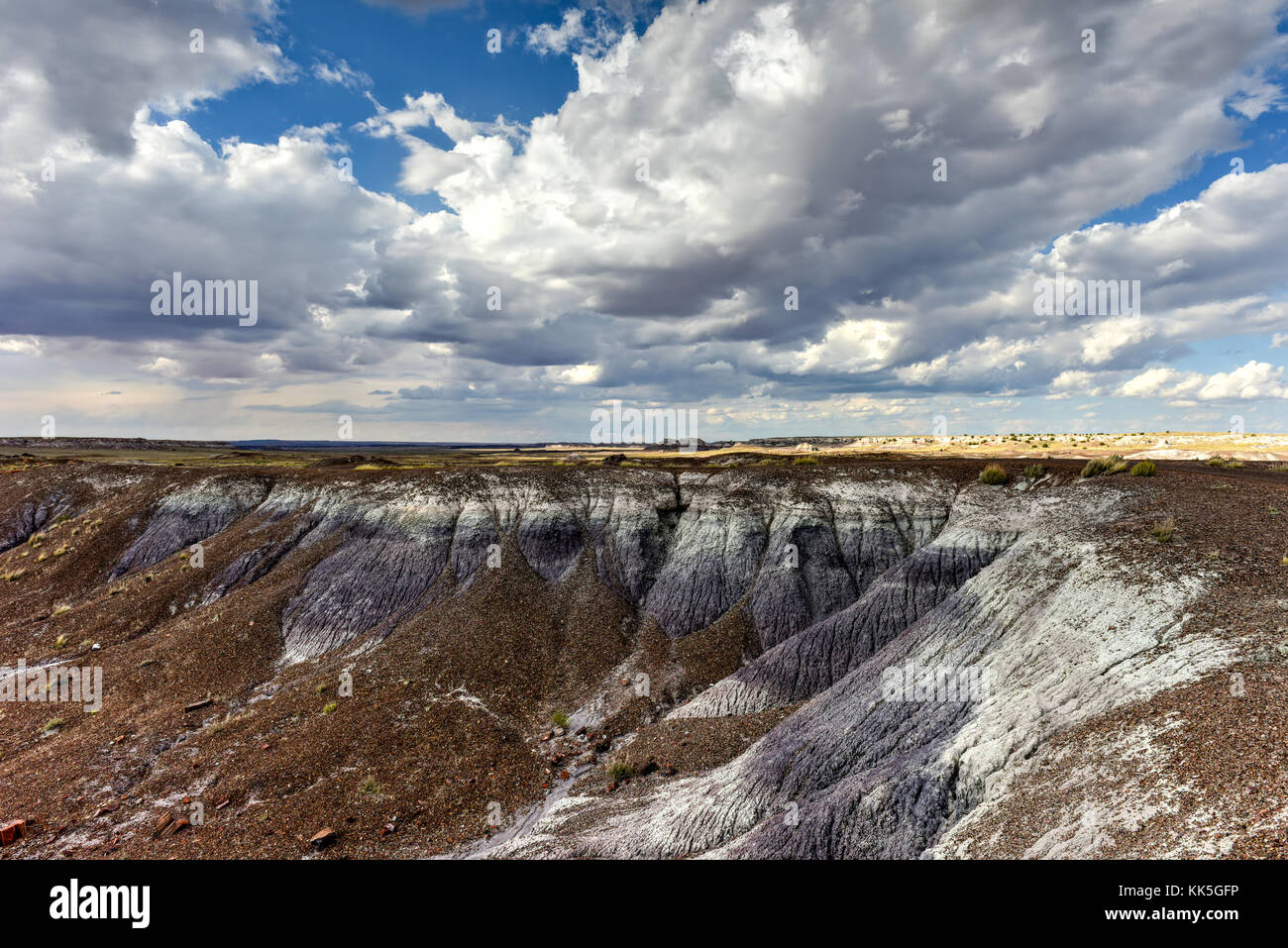 The Crystal Forest in the Petrified Forest National Park in Arizona ...