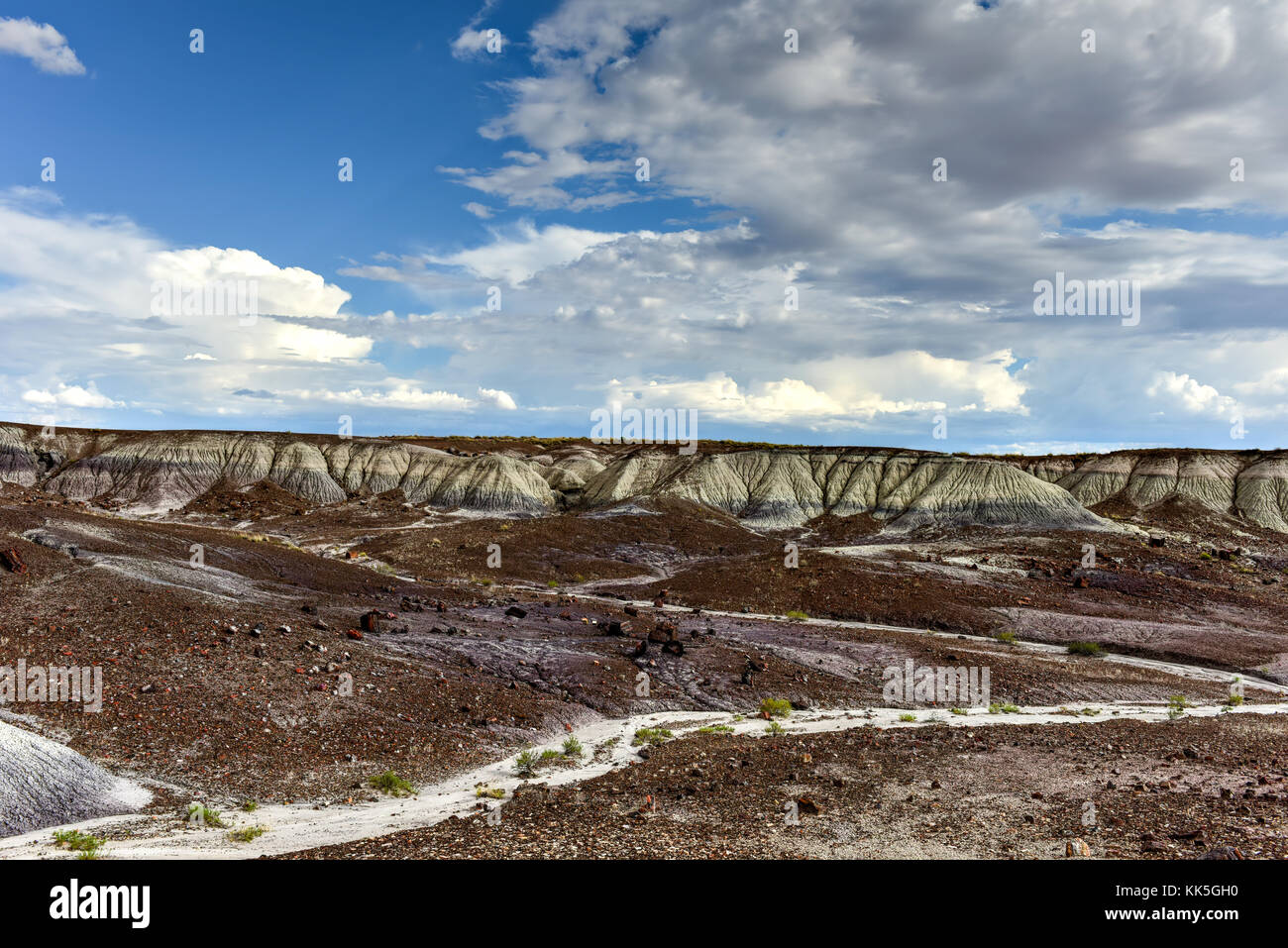 The Crystal Forest in the Petrified Forest National Park in Arizona ...
