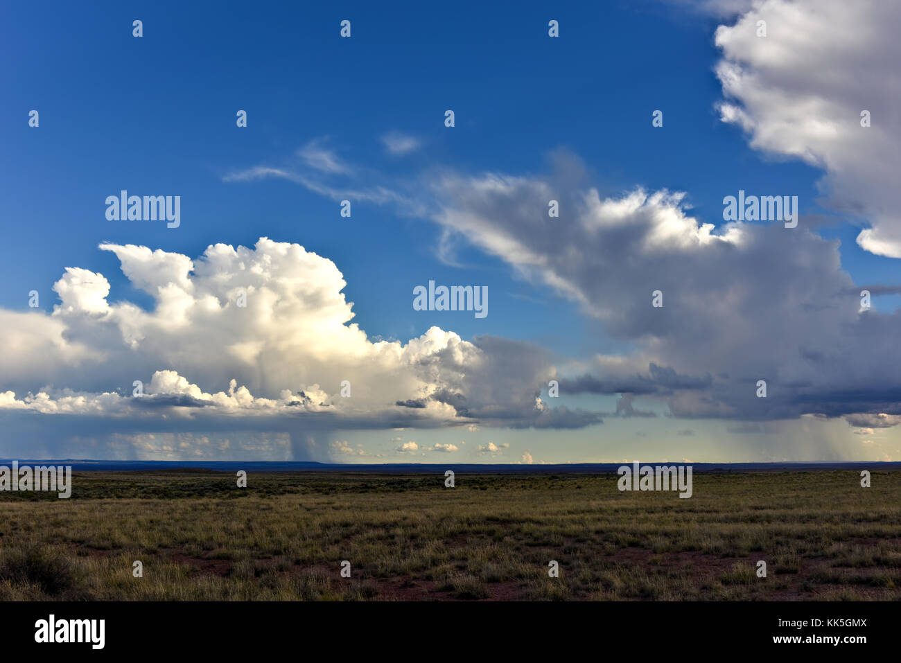 Petrified rock and grass hi-res stock photography and images - Alamy