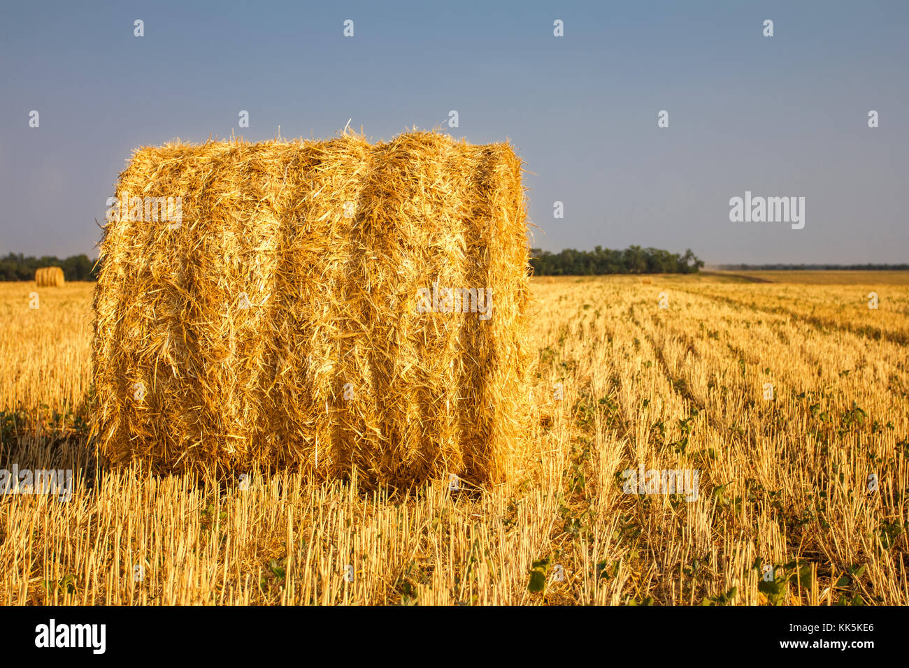 haystack on the field Stock Photo - Alamy