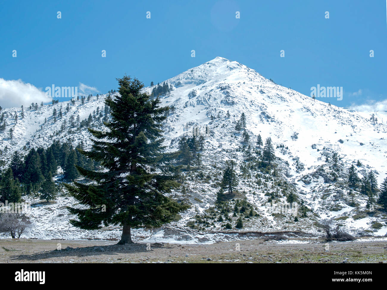 Winter landscape in the Helmos mountain. Greece Stock Photo - Alamy