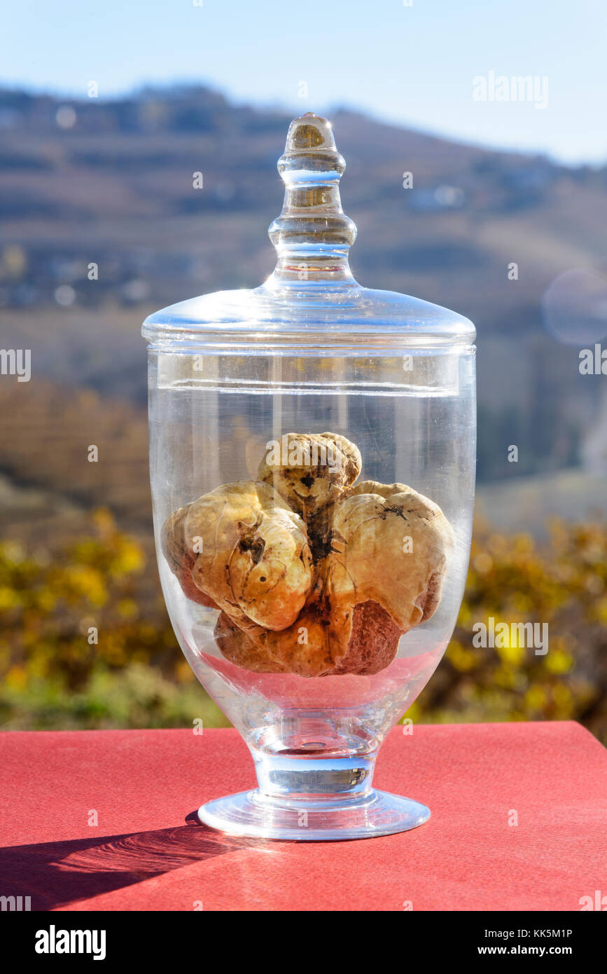 Wonderful White truffle inside a transparent glass jar, on the bottom ...