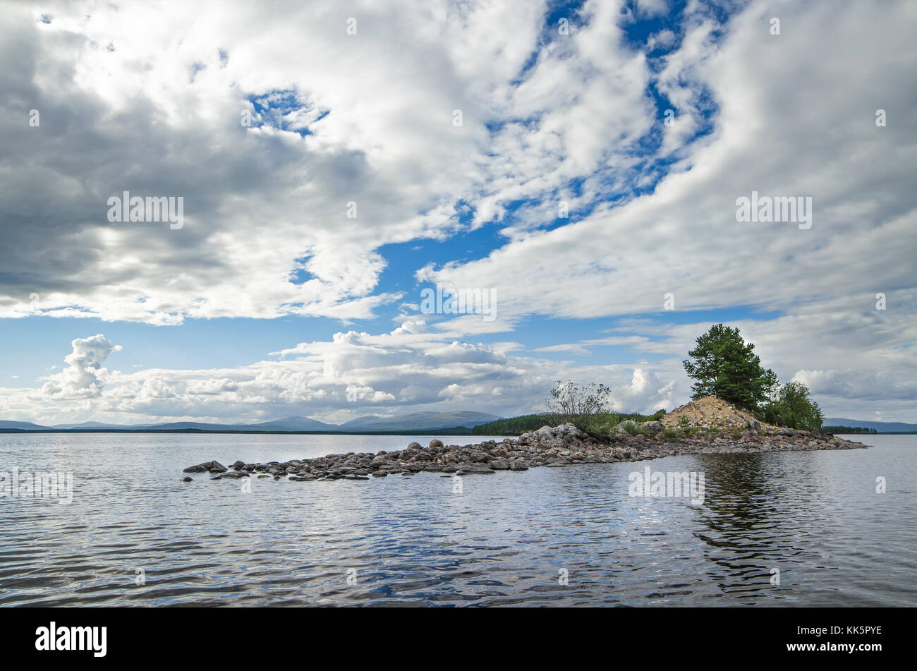 Wooded shore of a large lake. Forests along the coast. Kola Peninsula ...