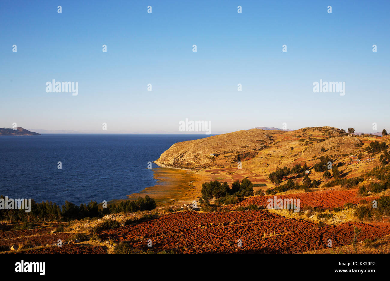 Titikaka lake in Peru, South America Stock Photo - Alamy