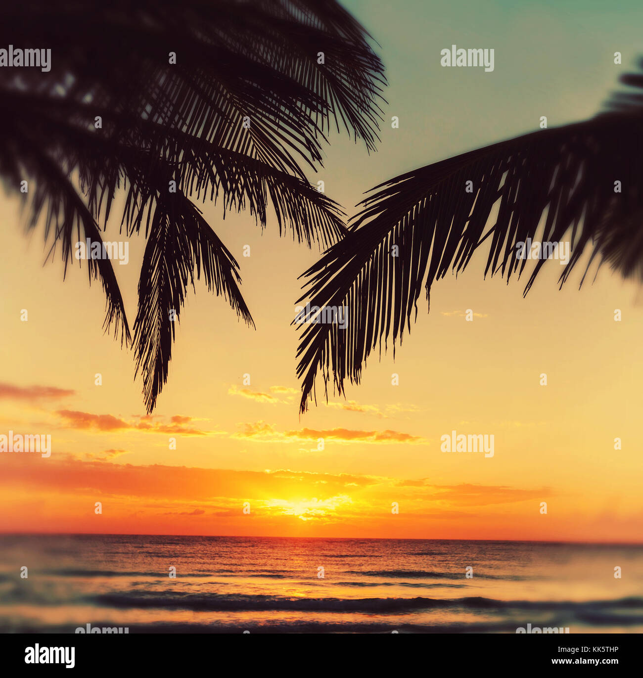 Serenity tropical beach Stock Photo - Alamy