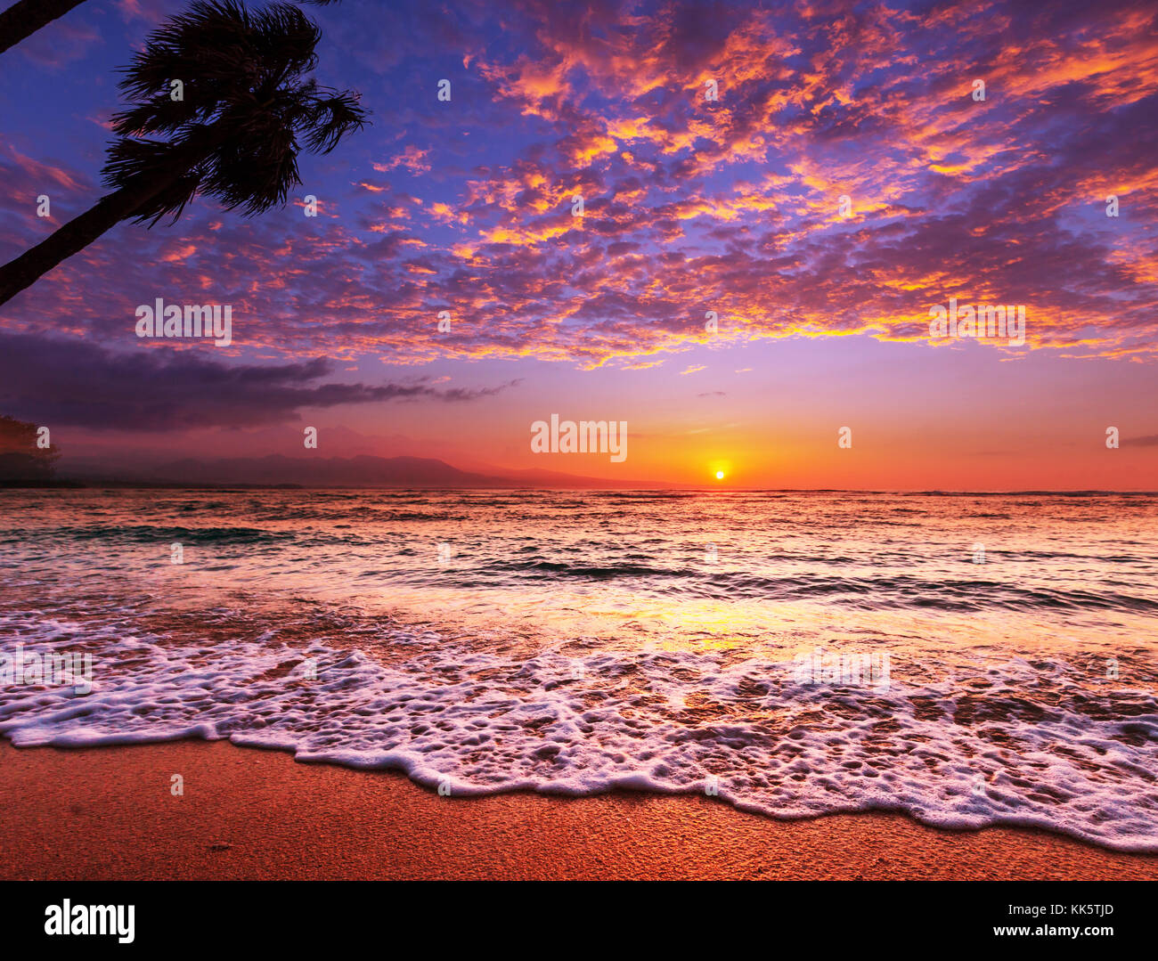 Serenity tropical beach Stock Photo - Alamy