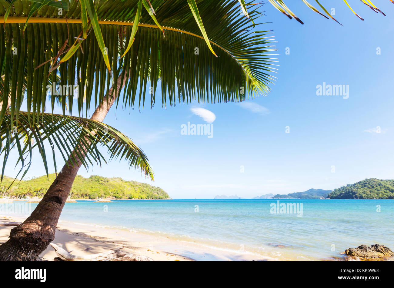 Serenity tropical beach Stock Photo - Alamy