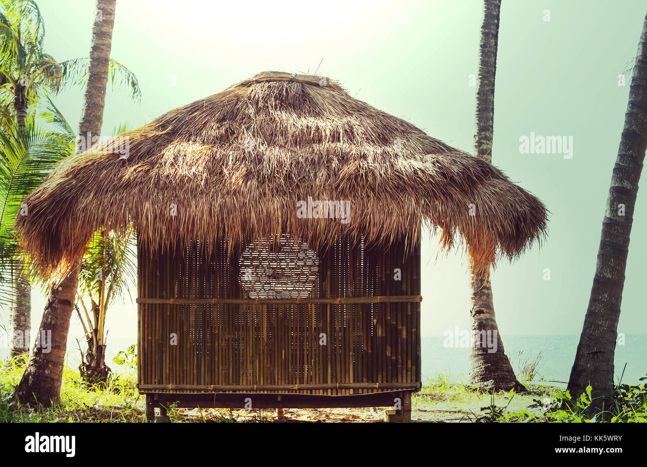 Tropical bamboo hut Stock Photo - Alamy