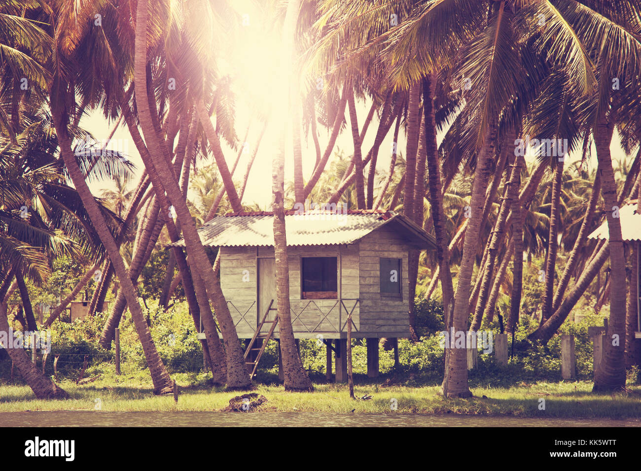 Hut in jungle Stock Photo - Alamy