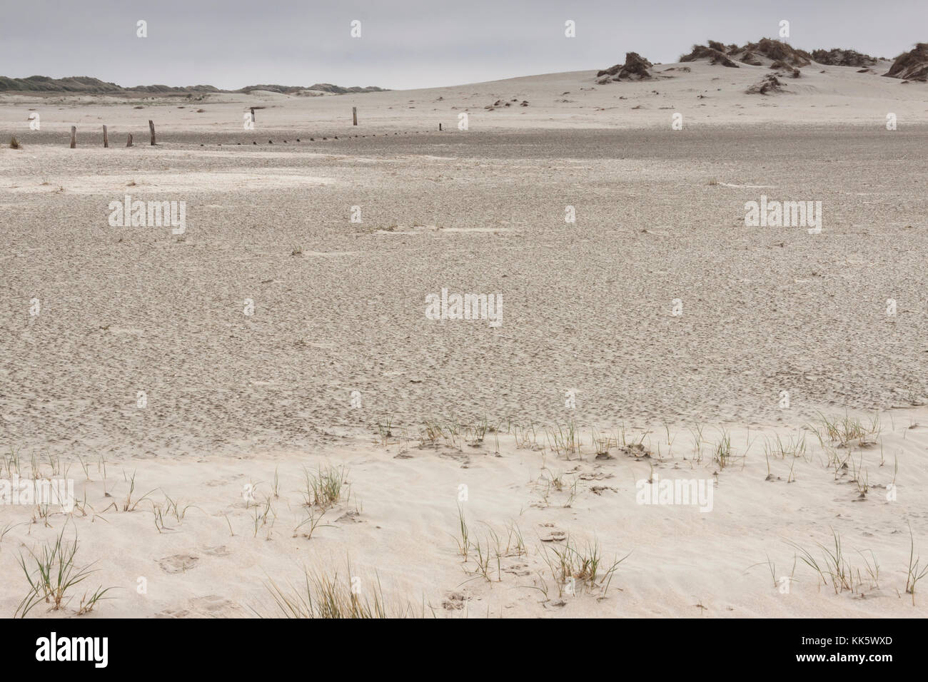 Beach on Romo Island. Denmark, Europe Stock Photo - Alamy