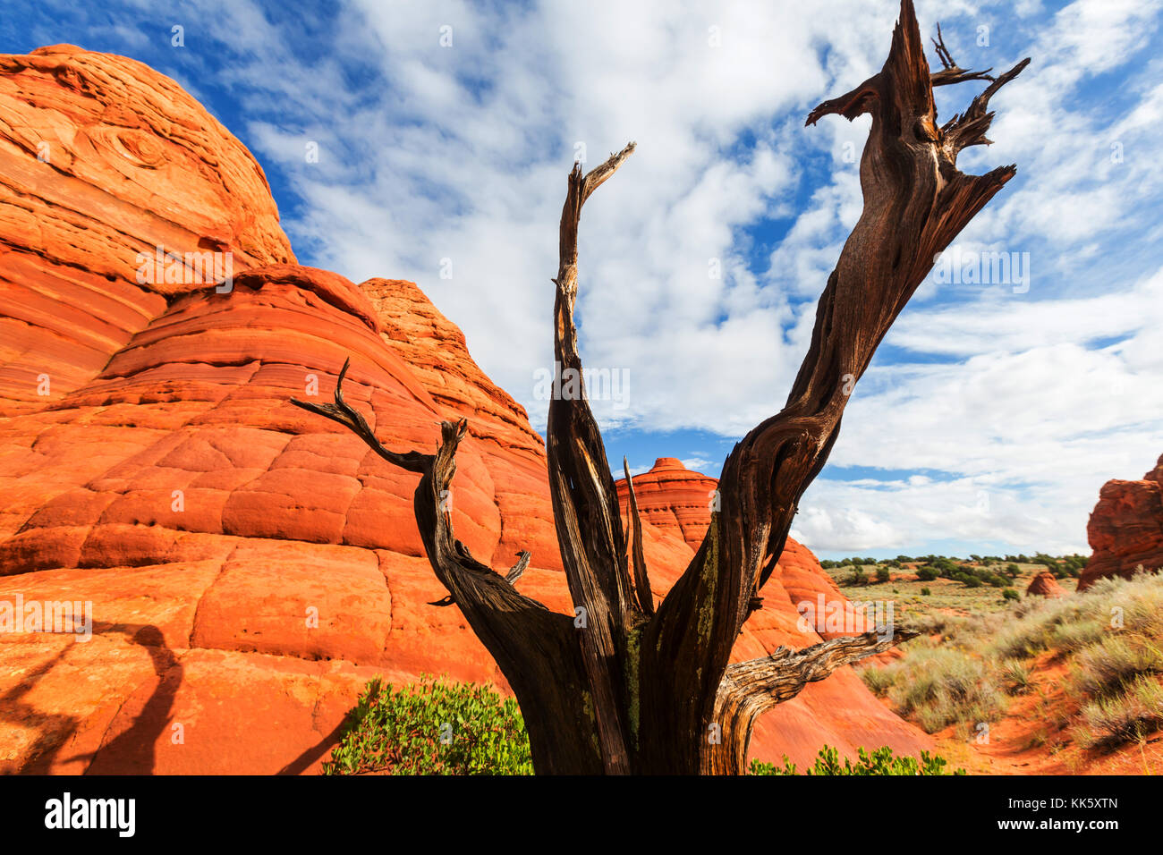 Sandstone formations in Utah, USA Stock Photo - Alamy