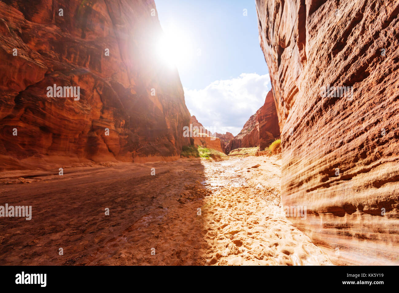 Sandstone formations in Utah, USA Stock Photo - Alamy