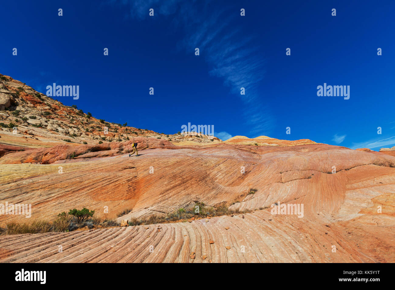 Sandstone formations in Utah, USA Stock Photo - Alamy