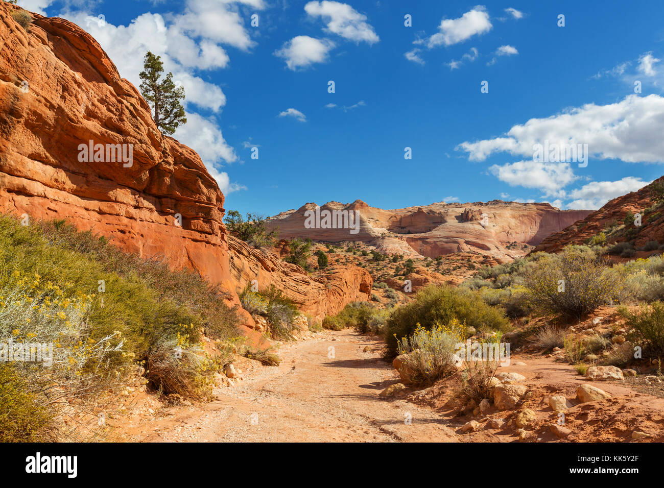 Sandstone formations in Utah, USA Stock Photo - Alamy
