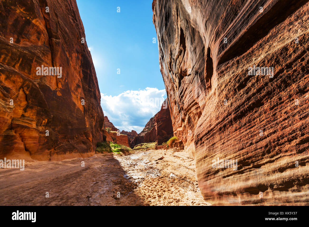 Sandstone formations in Utah, USA Stock Photo - Alamy