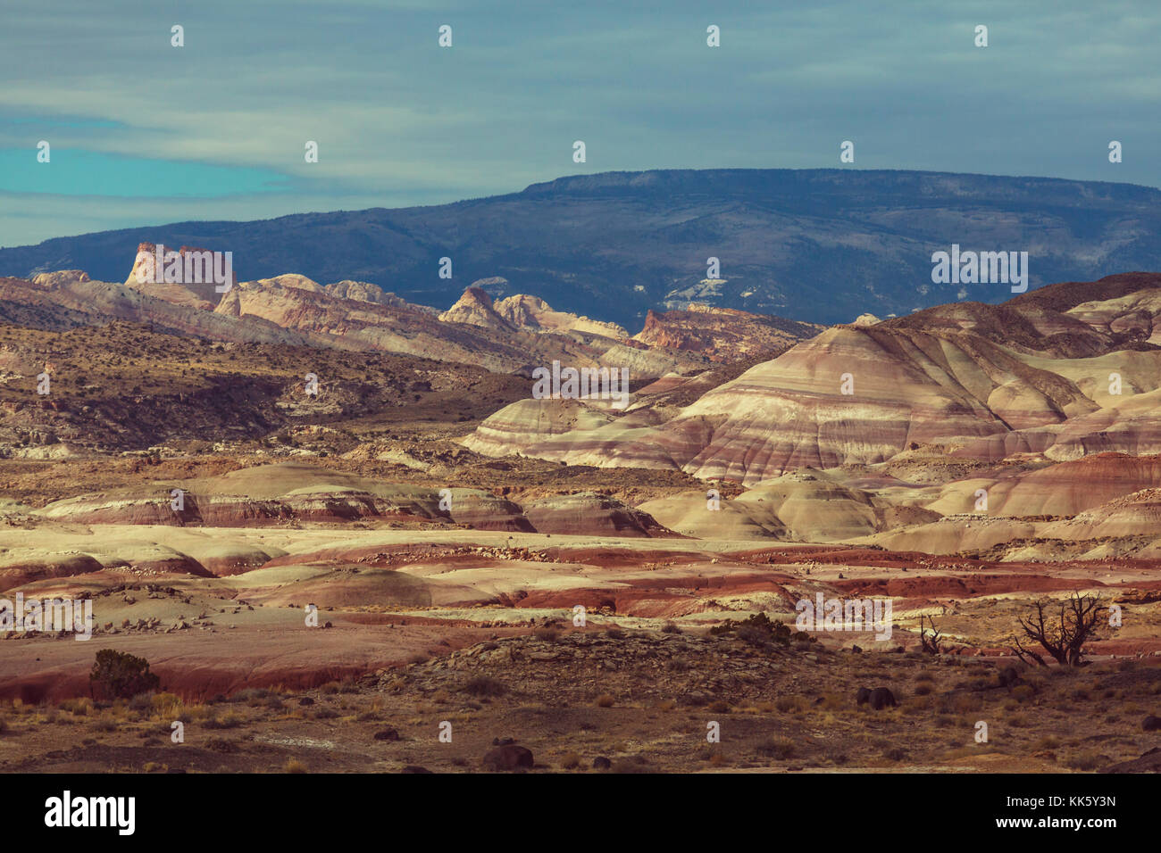 Sandstone formations in Utah, USA Stock Photo - Alamy