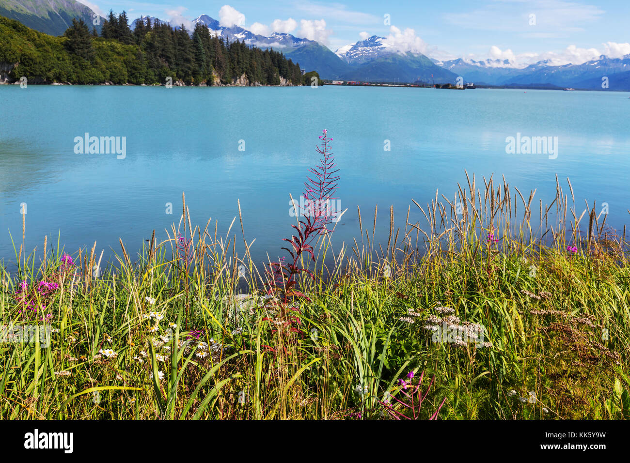 Mountains in Alaska, Valdez, USA Stock Photo - Alamy