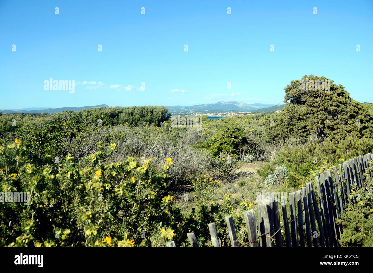 Embiez island landscape, near Bandol, french riviera and mediterranean ...
