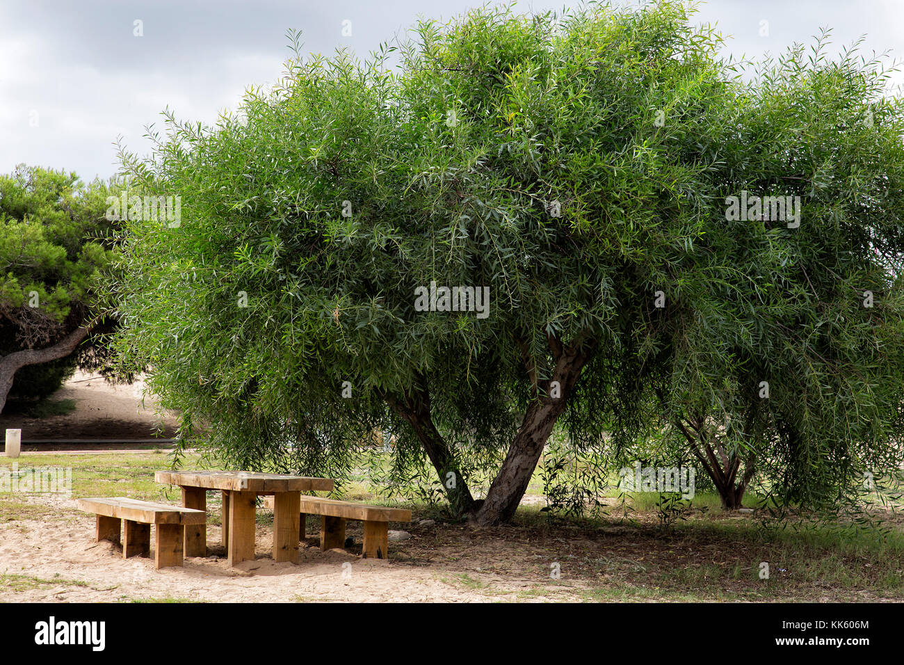 Empty wooden garden table tablecloth hi-res stock photography and ...