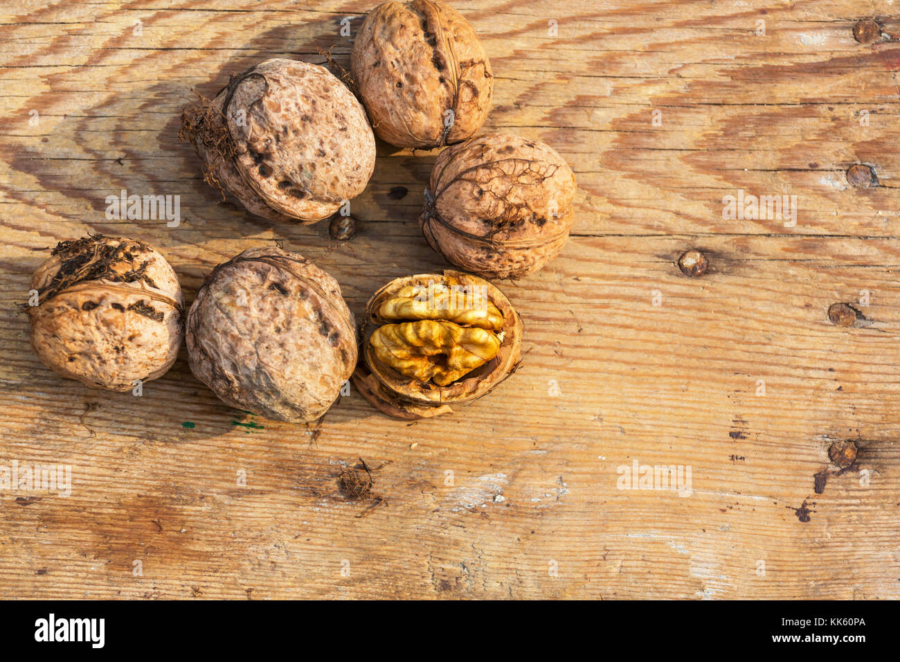 Whole walnuts and walnut kernels. New harvest, just cropped Stock Photo ...