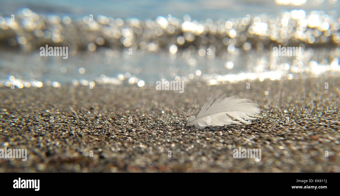 Feather Wallpaper High Resolution Stock Photography and Images - Alamy