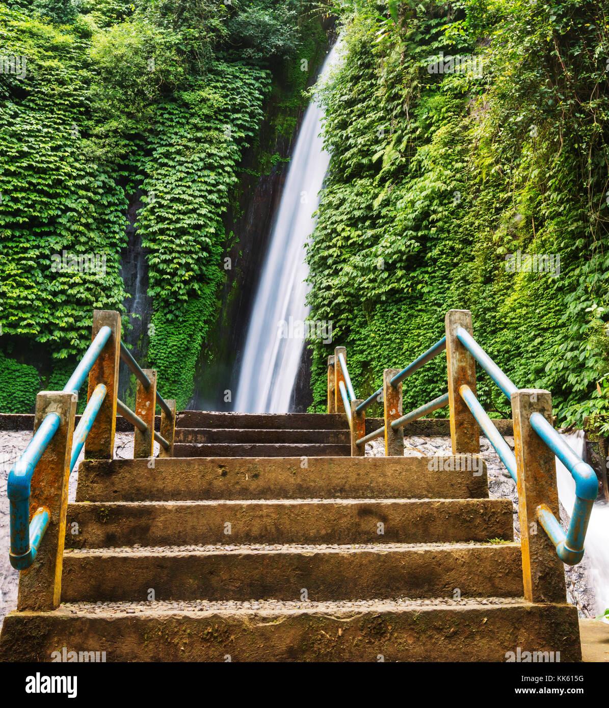 Indonesian jungle hi-res stock photography and images - Alamy